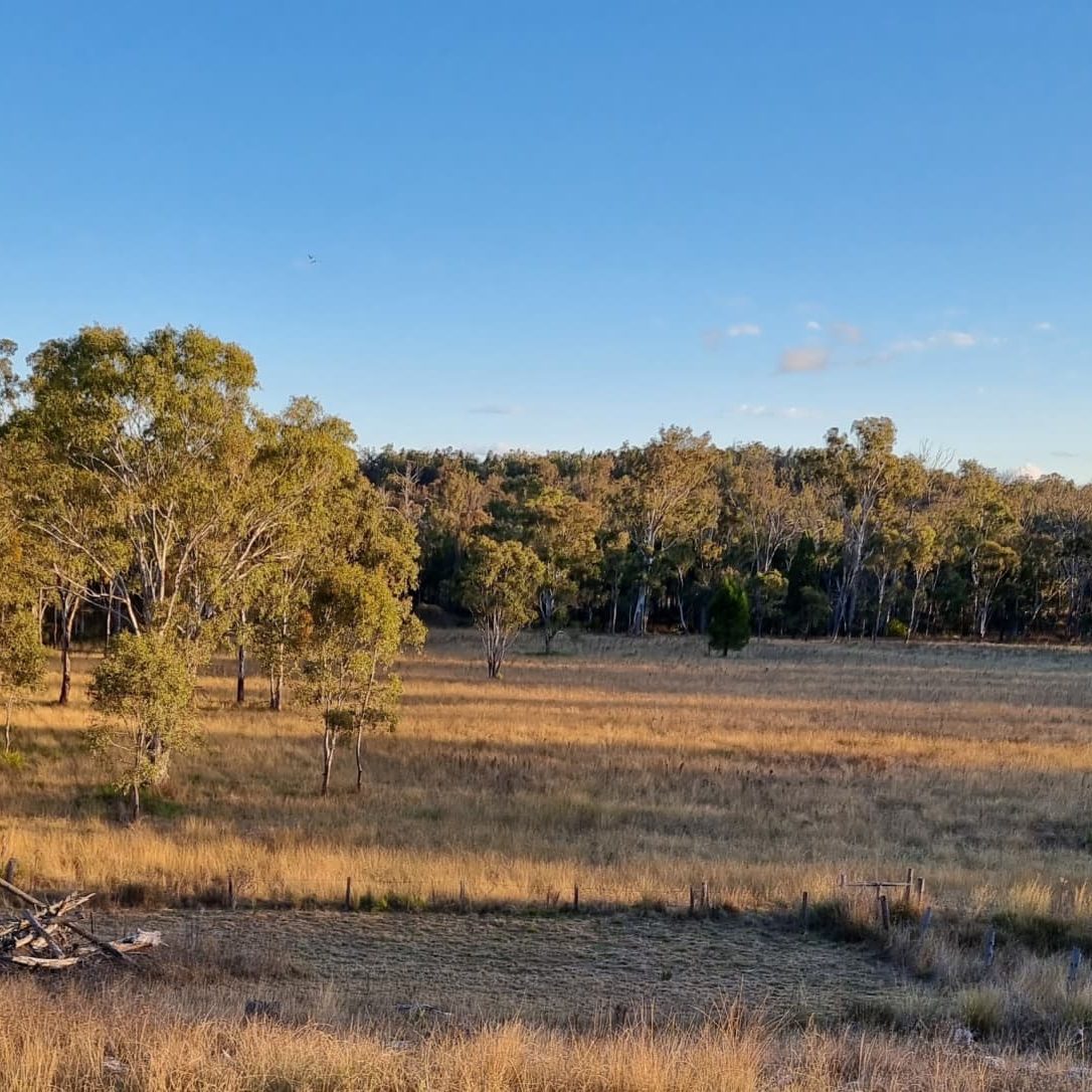 Camping | Leyburn Sprints